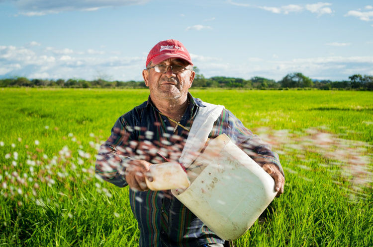 Farm Workers File the Highest Rate of L&I Claims